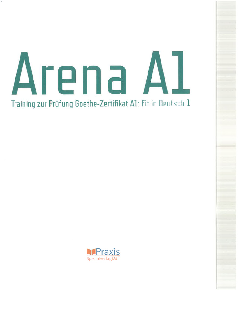 Arena A1 | PDF