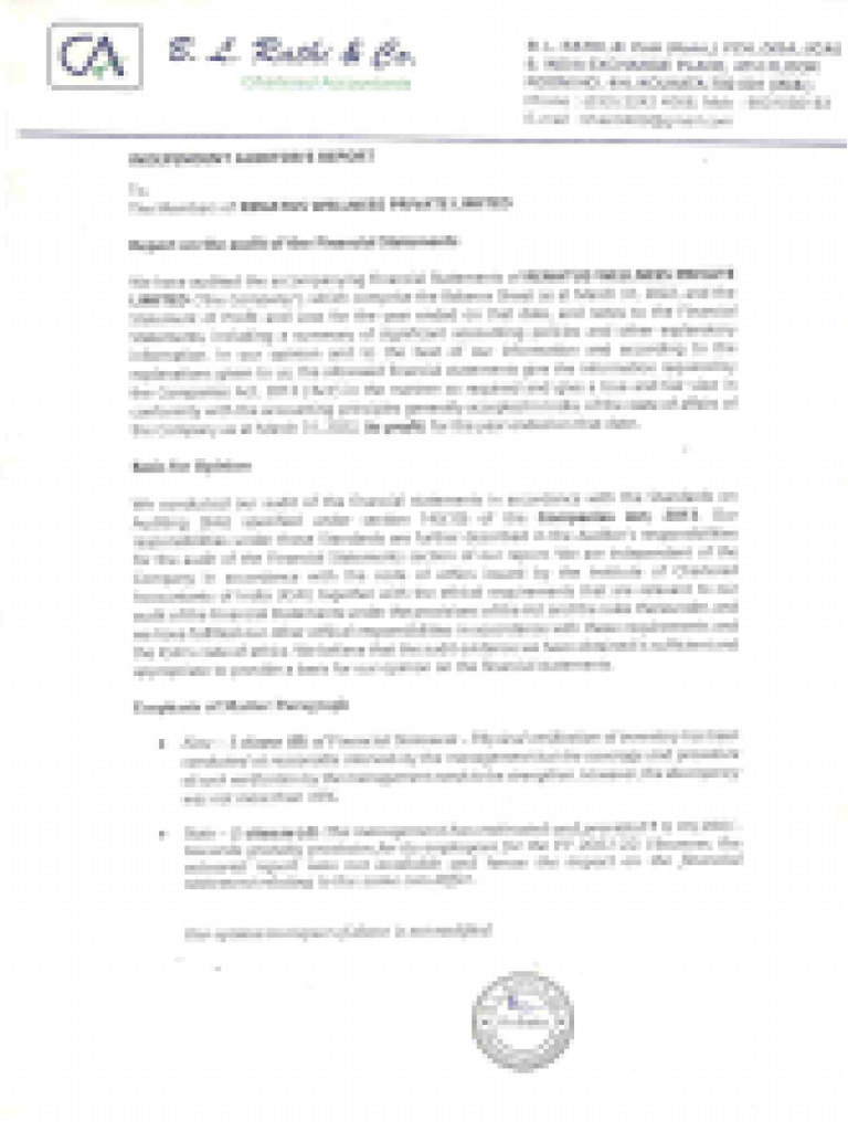 Audit Report and Balance Sheet | PDF