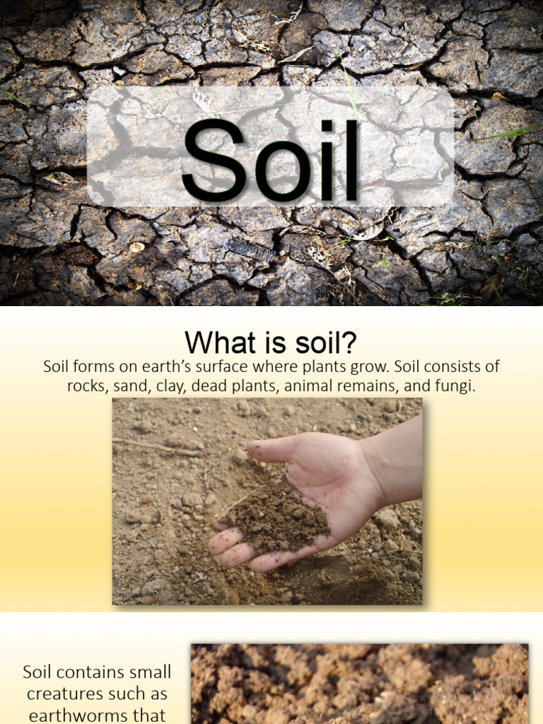 Understanding Soil: Types and Importance | PDF | Soil | Loam