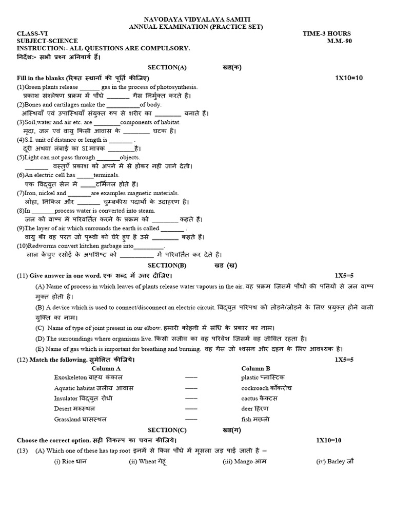 Class VI Annual Exam Practice Set | PDF