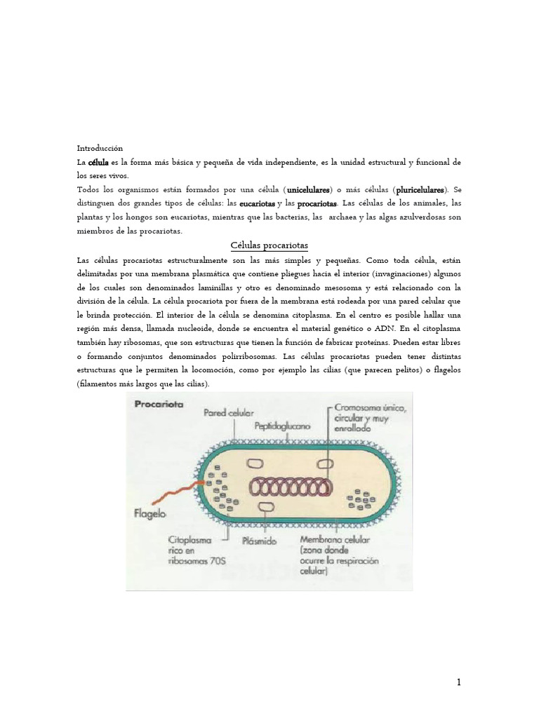 BIOLOGIA | PDF | Biología Celular) | Citoplasma