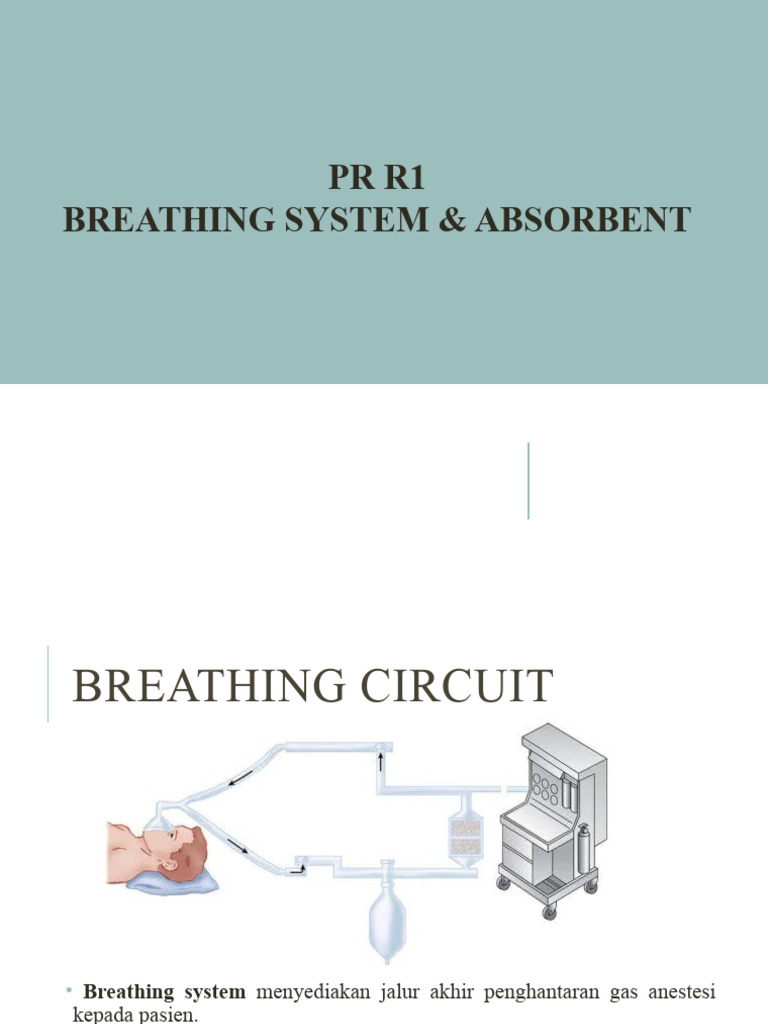 PR R1 - Breathing System & Absorben | PDF | Griya & Taman | Sains ...
