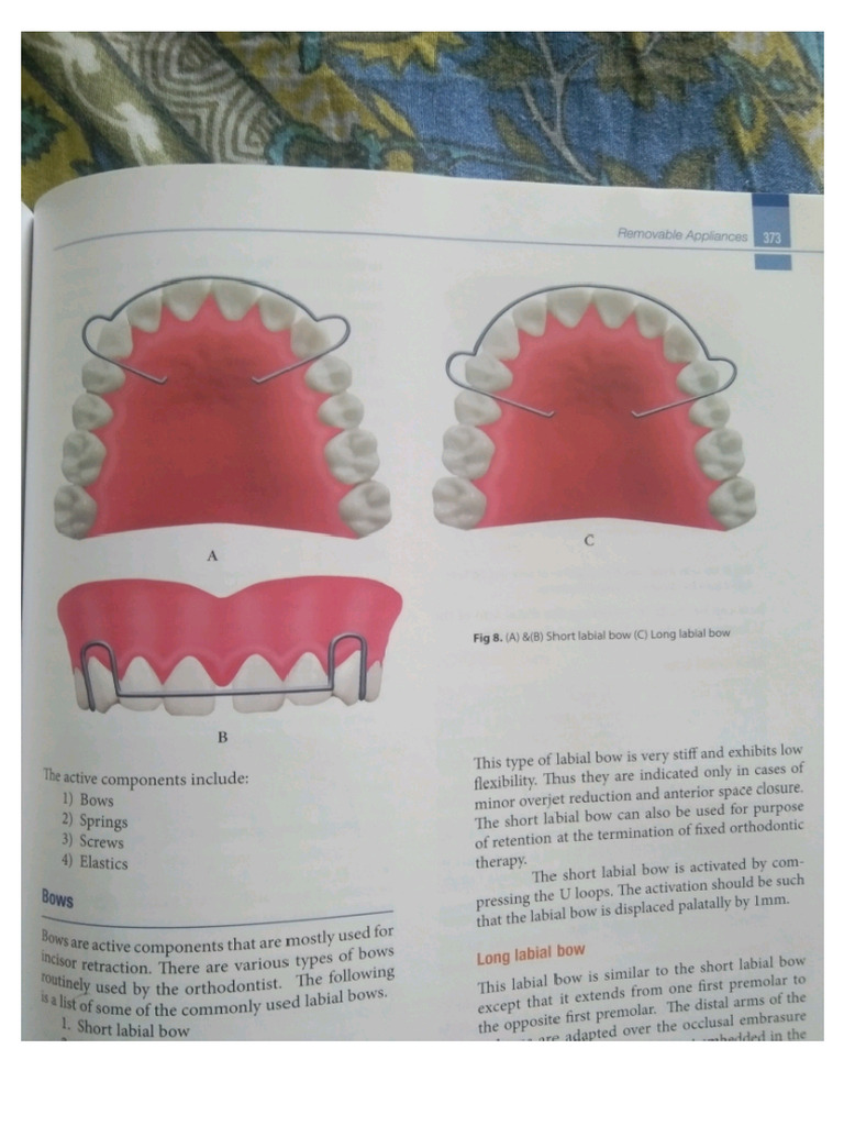 Ortho Application | PDF