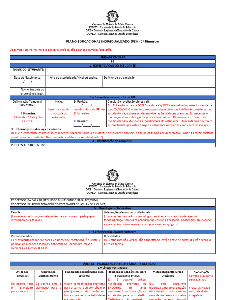 Modelo de Plano Educacional Individualizado (PEI) | PDF | Pedagogia ...