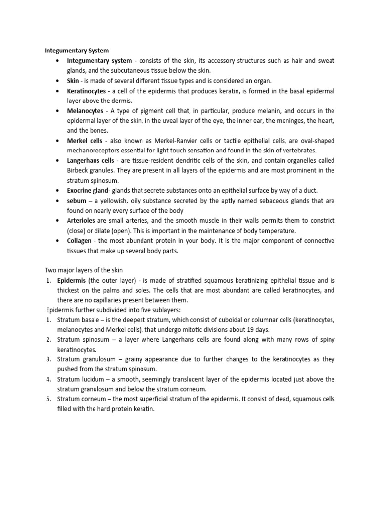 Integumentary System Pdf Skin Epidermis
