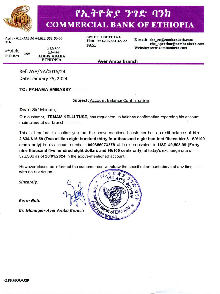 Temam Panama Bank Statement | PDF