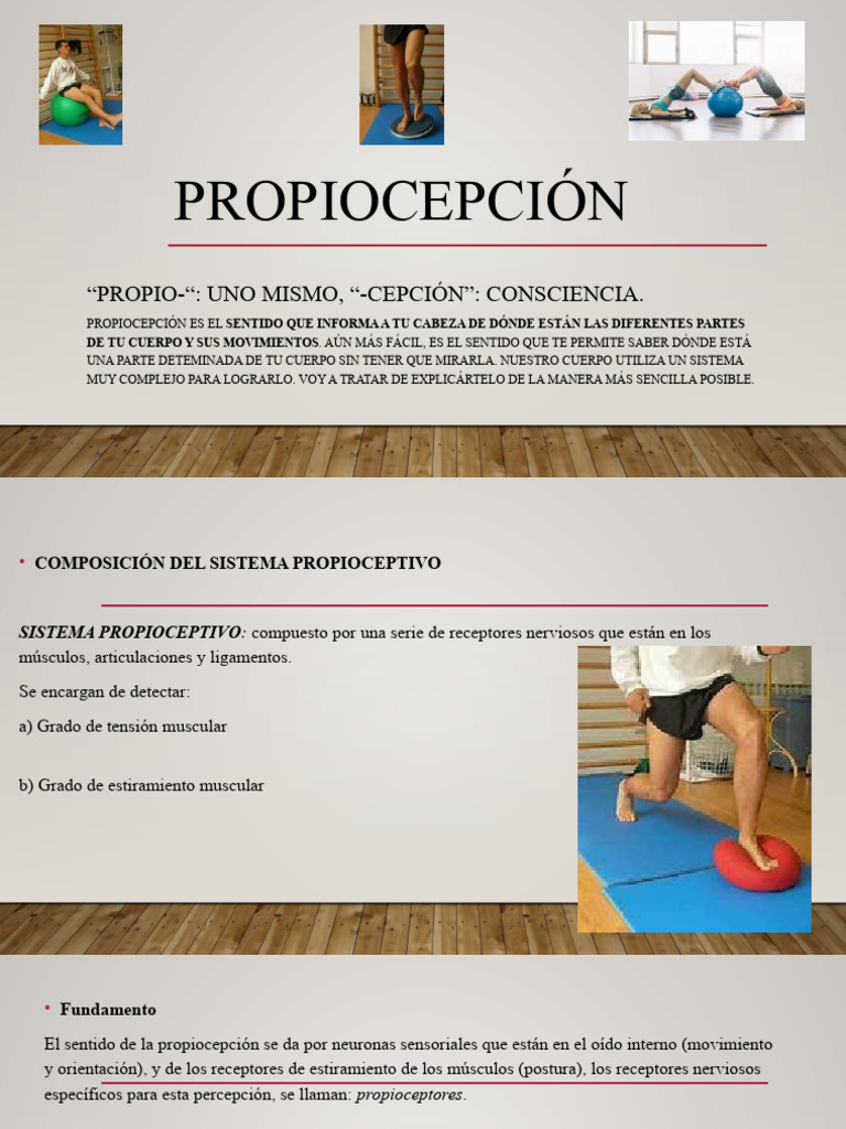 PROPIOCEPCIÓN | PDF | Músculo | Sentidos