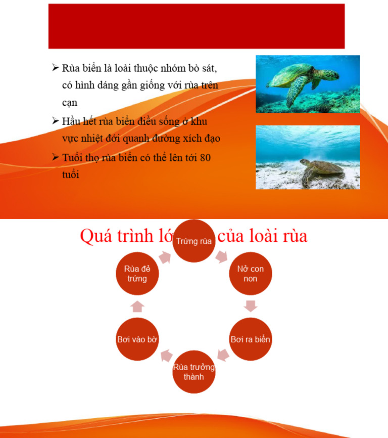 Lab01 PowerPoint 01 UT - BT2 | PDF