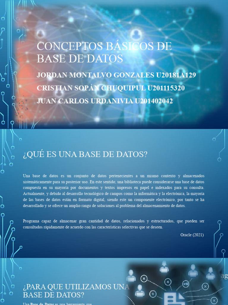 Conceptos Básicos de Base de Datos | PDF | Bases de datos | Seguridad de información