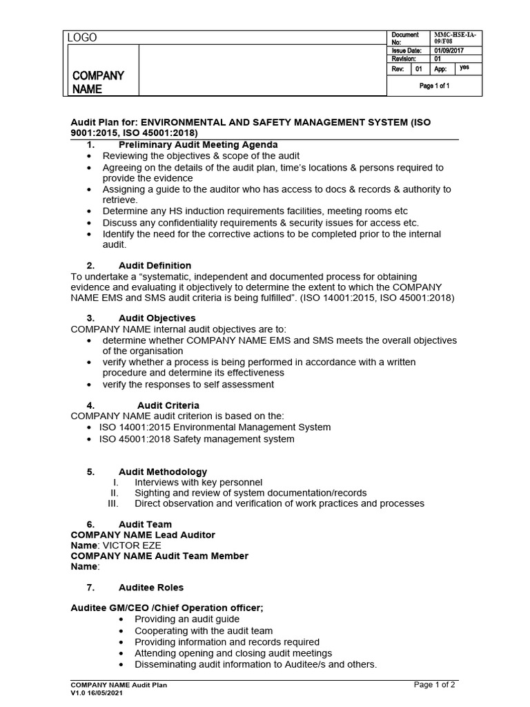 SAMPLE AUDIT PLAN | Download Free PDF | Audit | Business