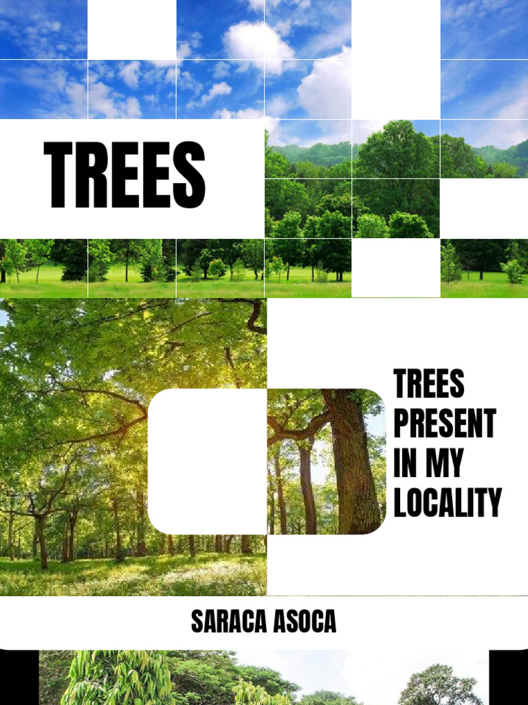 TREES | PDF