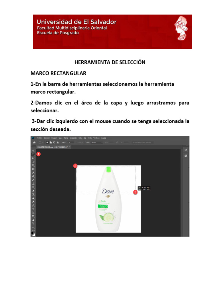 2-GUIA HERRAMIENTAS DE SELECCION 2 | PDF