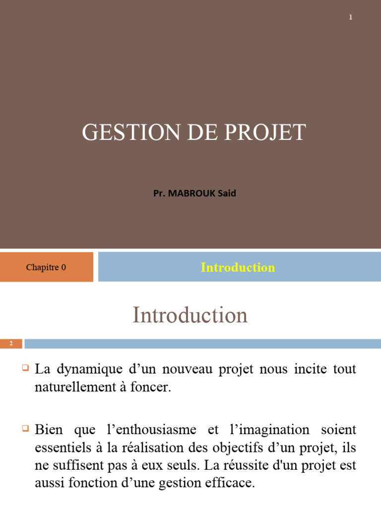 Principes de la gestion de projet | PDF | Gestion de projet