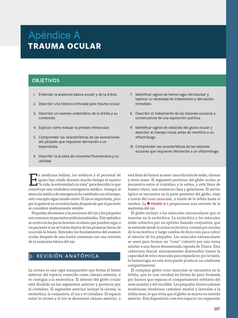 Trauma Ocular | PDF | Ojo humano | Ojo
