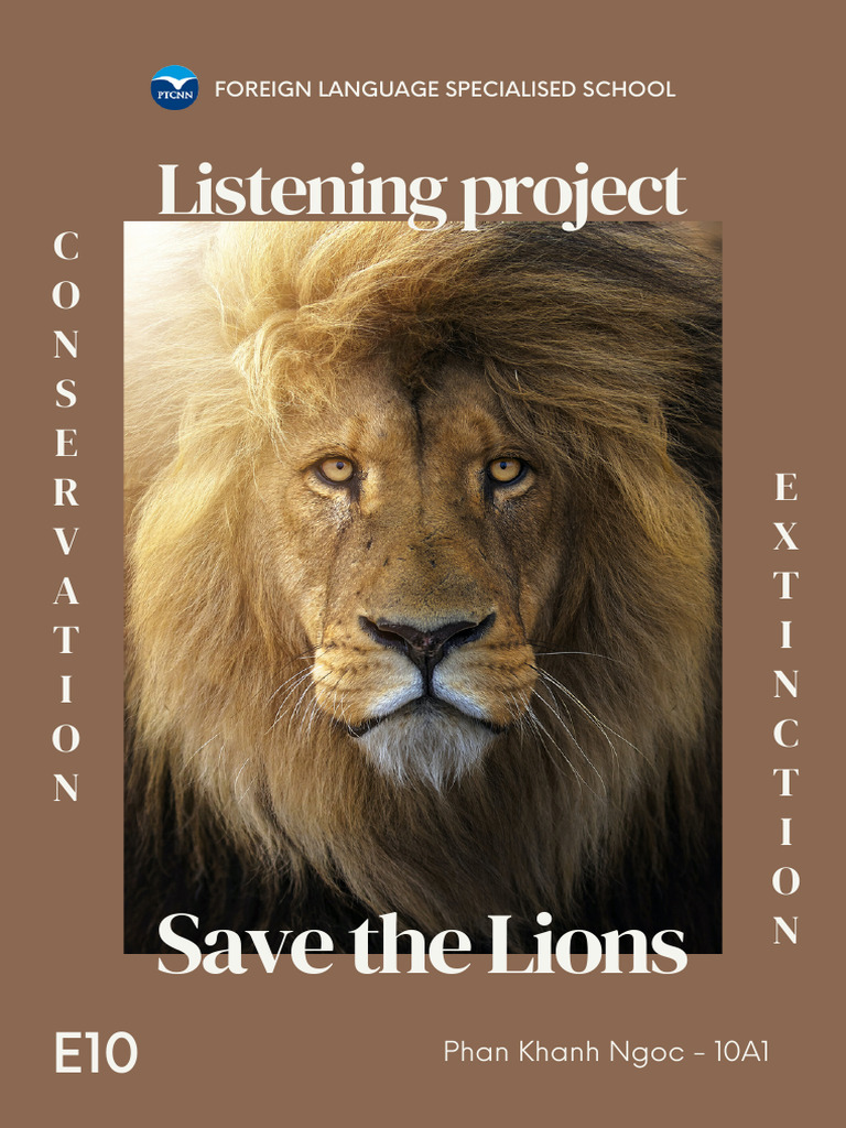 K55 G10 Term 1 Listening Report Sample | PDF | Lion | Zoology