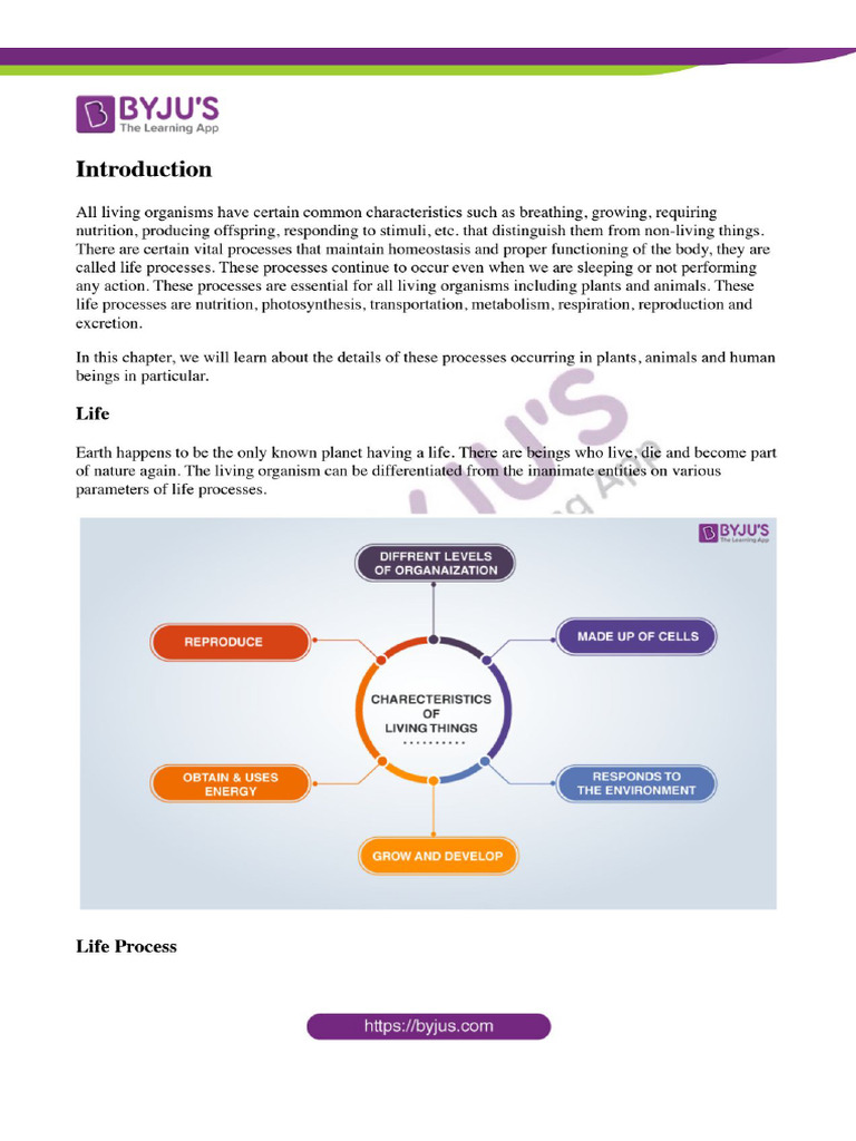 CBSE Class 10 Science Notes For Chapter 6 Life Processes | PDF