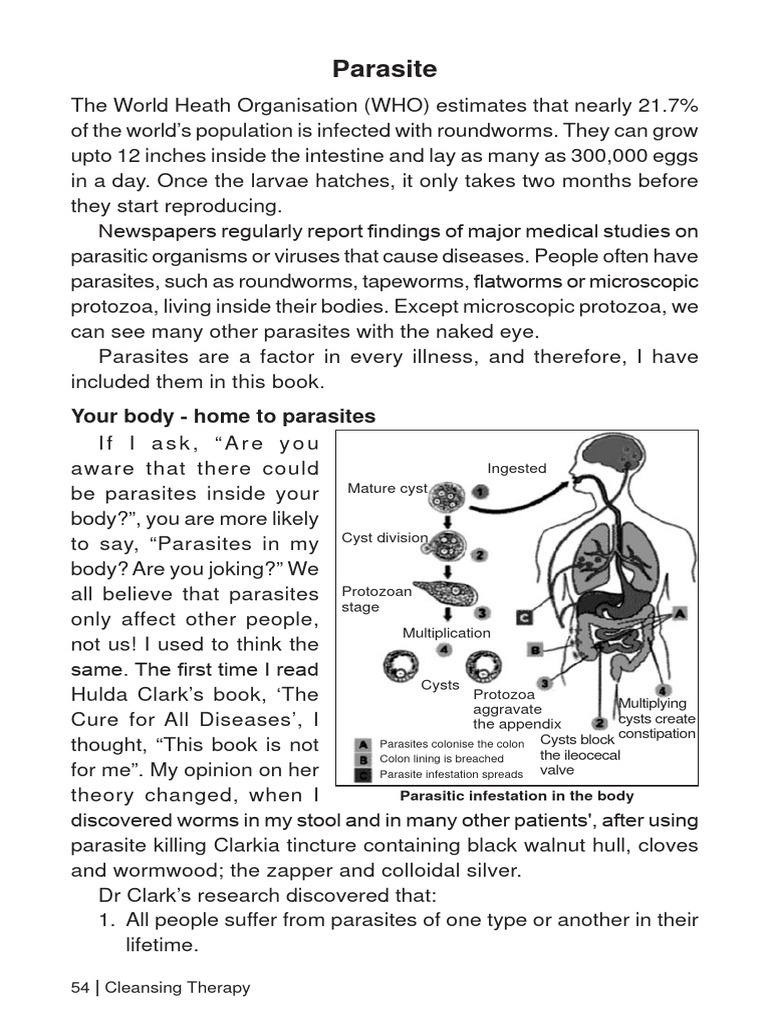 Parasite | PDF | Parasitism | Silver