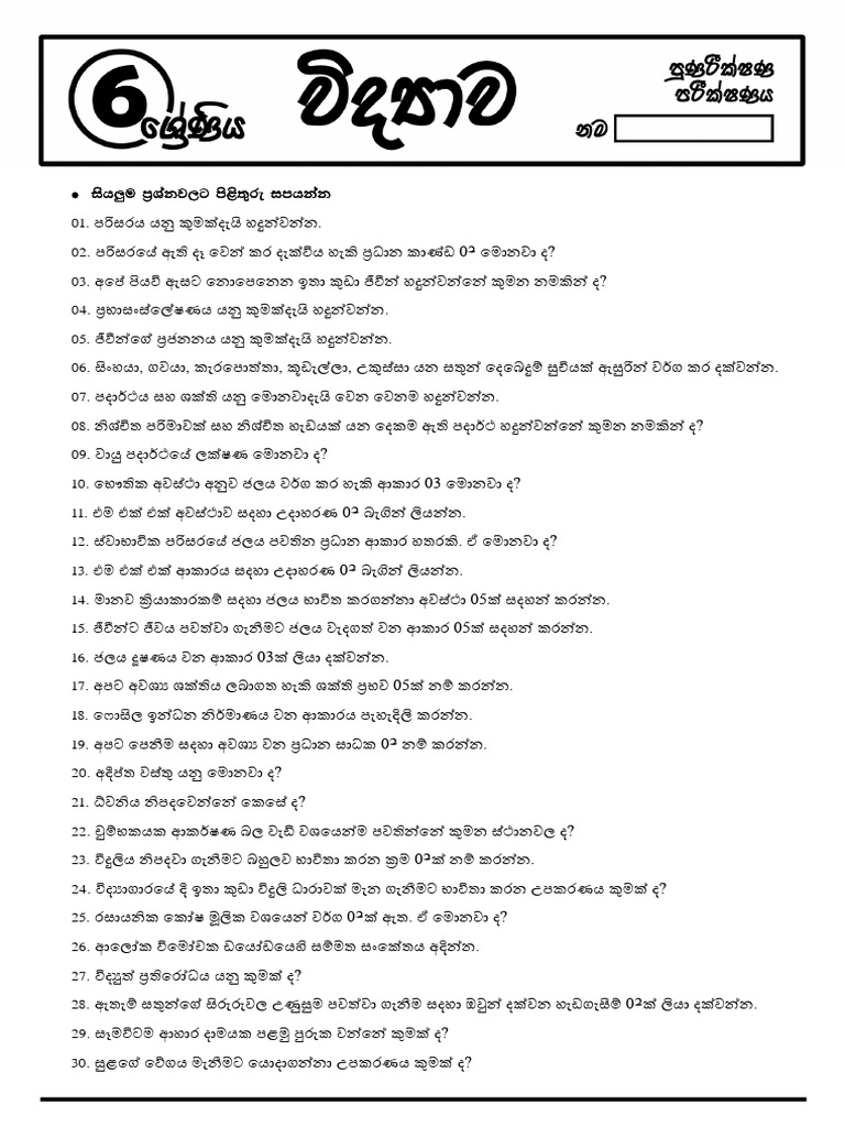Revision Paper 01 | PDF