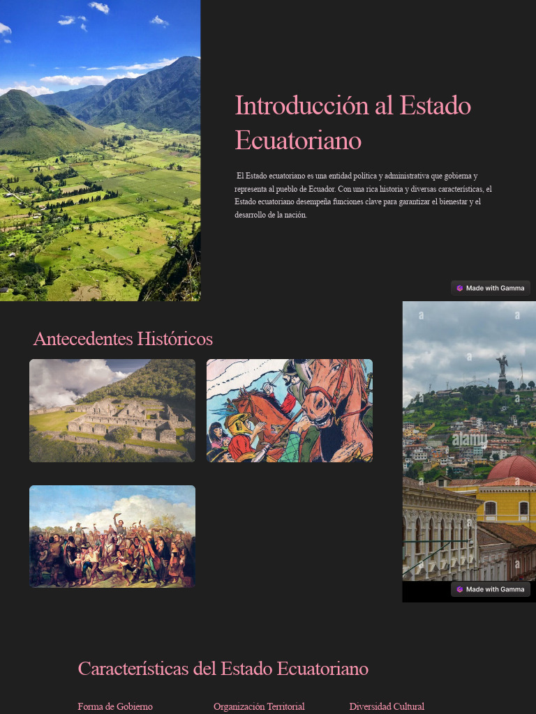 Introduccion Al Estado Ecuatoriano | PDF | Ecuador | Estado (política)