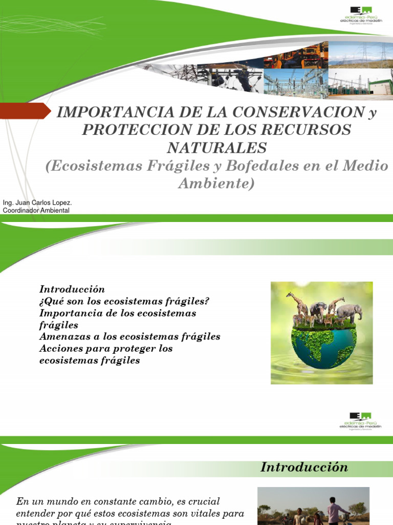 IMPORTANCIA DE LA CONSERVACION y PROTECCION DE LOS RECURSOS NATURALES ...
