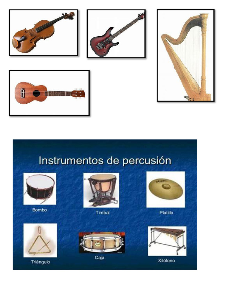 Instrumentos de Cuerda y de Percusión | PDF