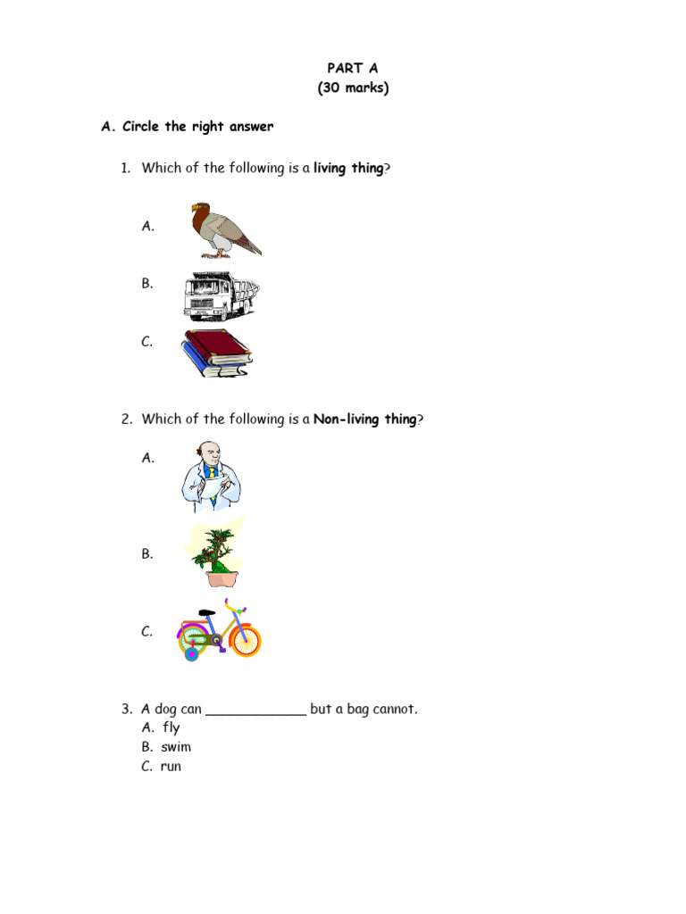 Science Year 2 | PDF | Foods
