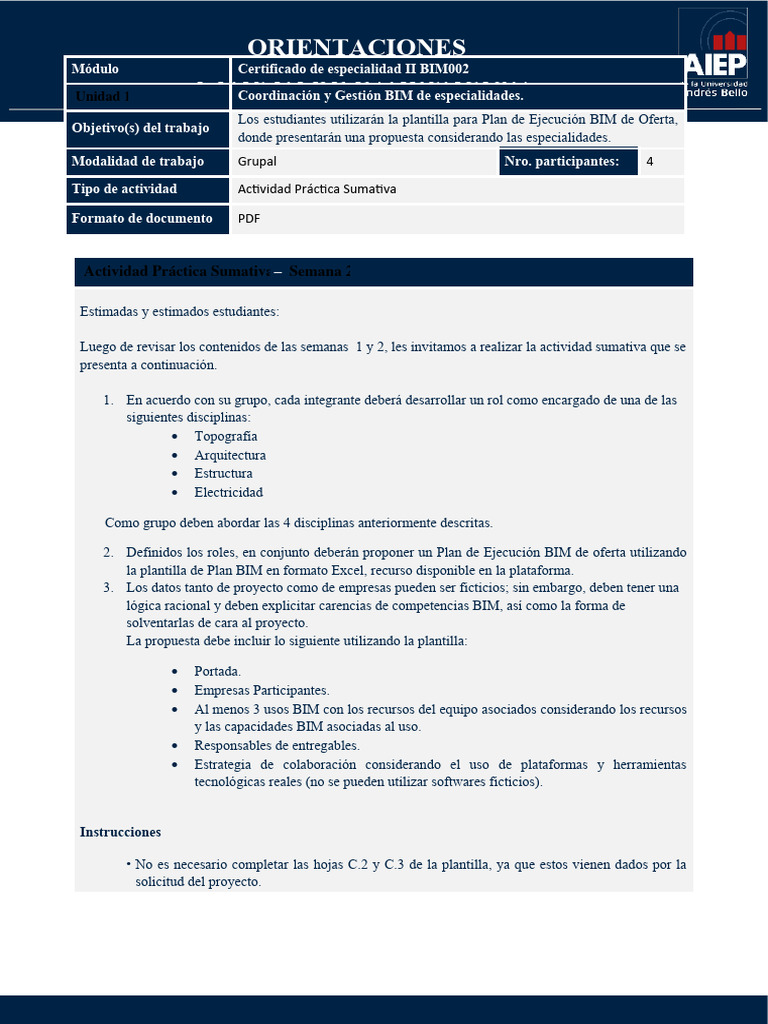 VF BIM002 Orientaciones Actividad Sumativa Semana 2 | PDF | Informática