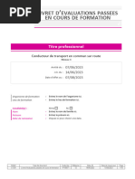 Dossier Professionnel Version Finale A Remplire | PDF