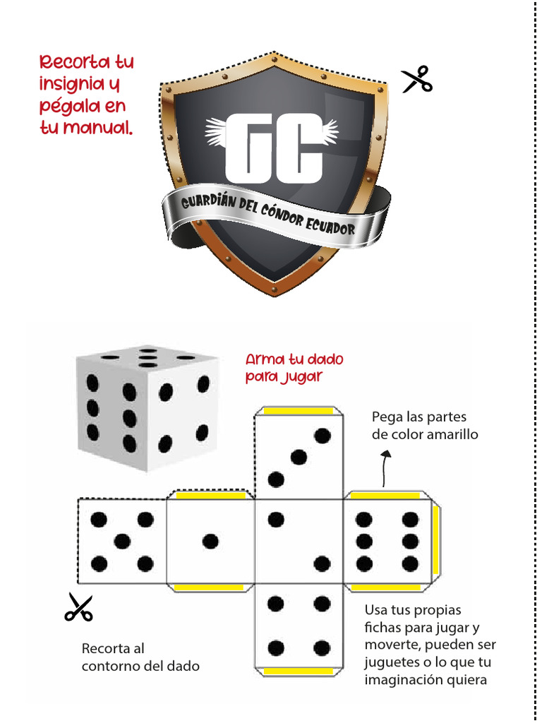 Dado e Insignia Web | PDF