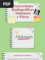 Protocolo de Abdomen (RX) | PDF | Abdomen | Medicina CLINICA