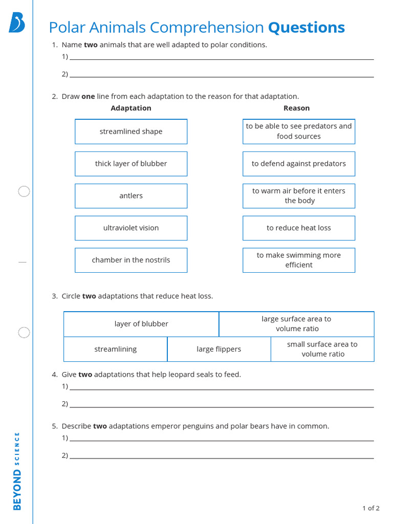Polar Animal Adaptations Comprehension Worksheet | PDF | Penguin | Pinniped