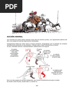 Lezhin - TACO - Point Character Drawing (PDFDrive) | PDF