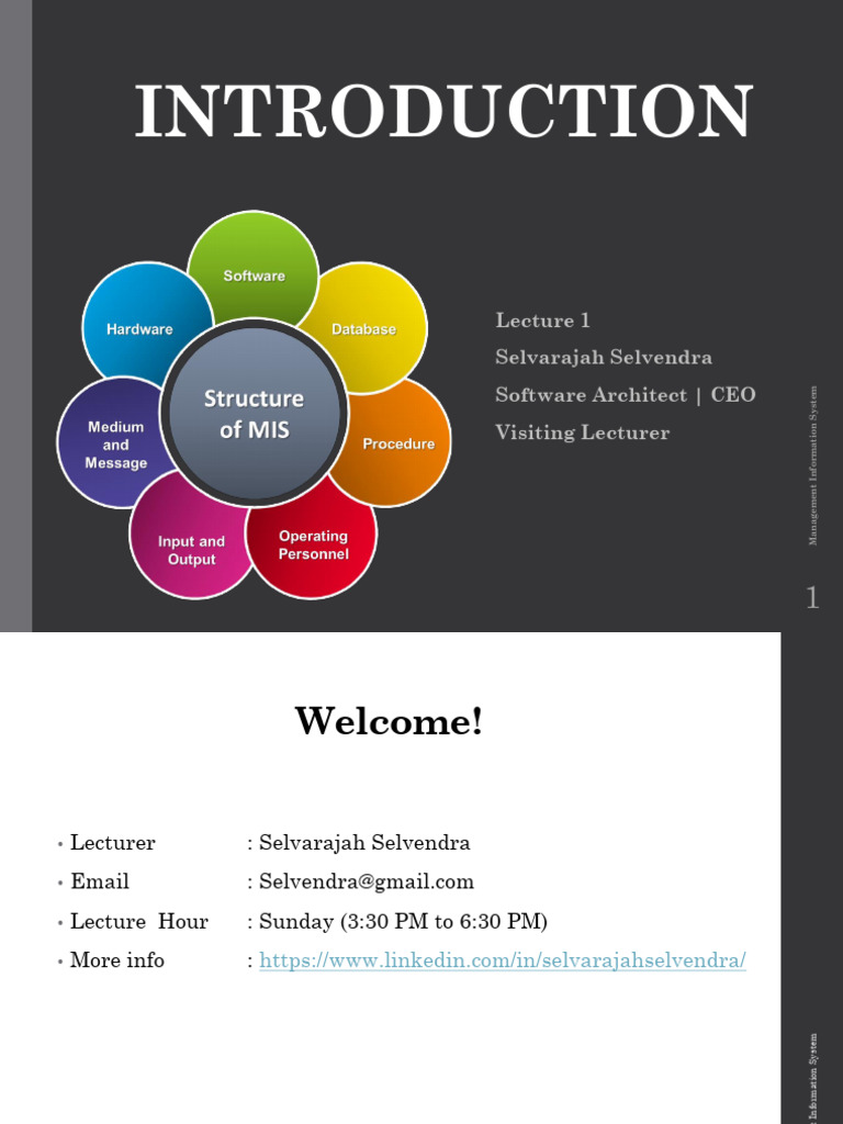 Management Information Systems Overview | PDF | Information System ...