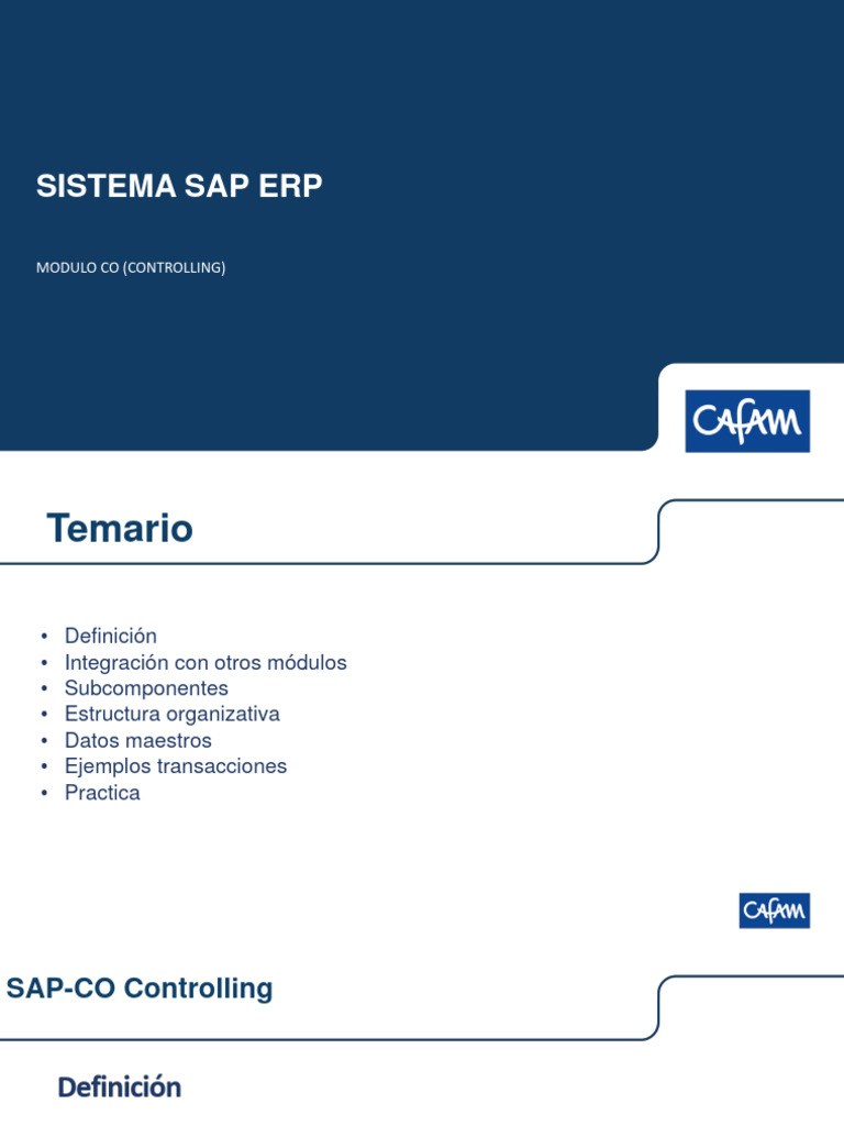 T03 Sap | PDF | Contabilidad | Planificación