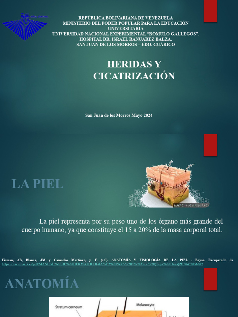 Heridas y Cicatrización | PDF | Cicatrización de la herida | Especialidades Medicas