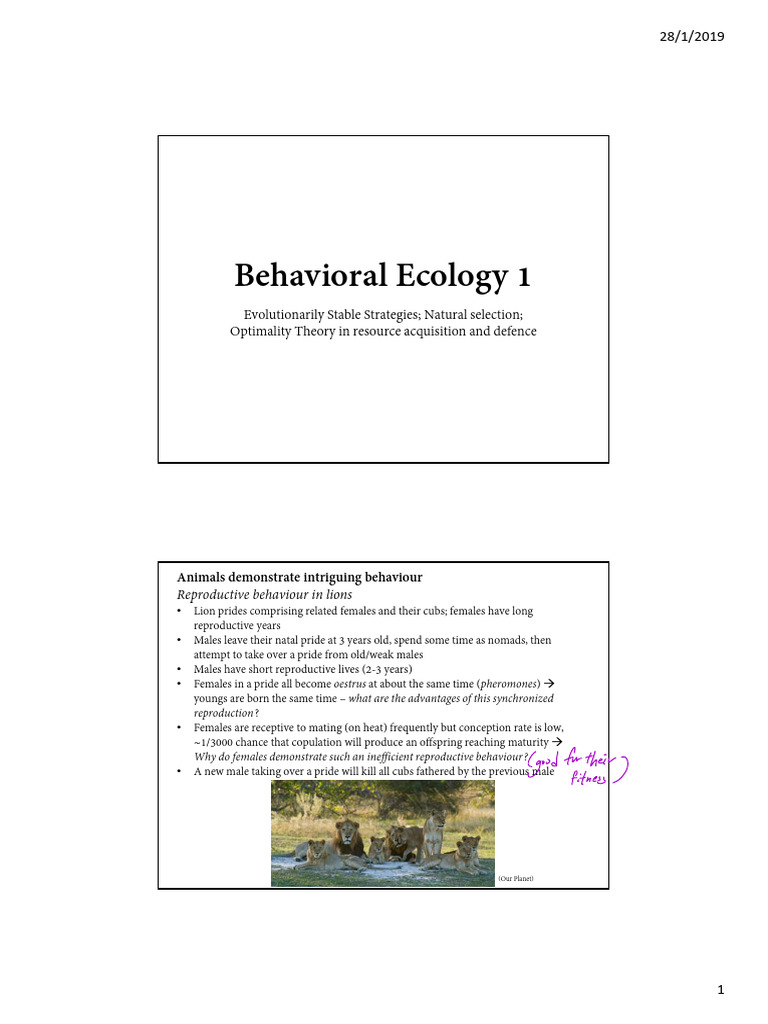 Behavioral Ecology I - 2 Slides Per Page | PDF | Ethology | Foraging