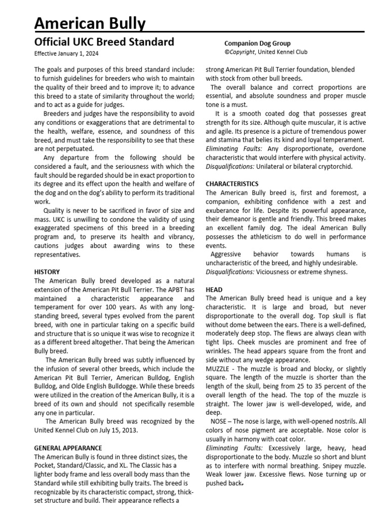 American Bully Breed | PDF | Horse Gait | Dog Breeds