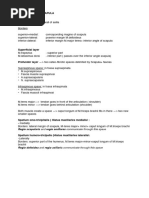 Triangular Space - Borders - Contents - TeachMeAnatomy | PDF