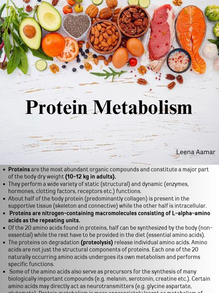 Protein Metabolism - PPTX 20240603 215429 0000 | PDF | Digestion ... Protein Metabolism - PPTX 20240603 215429 0000 | PDF | Digestion ...