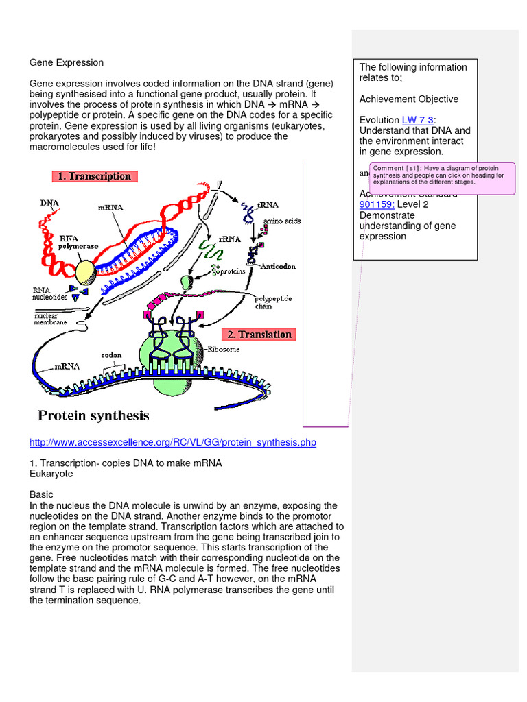 Gene Expression 038348 | PDF | Messenger Rna | Gene