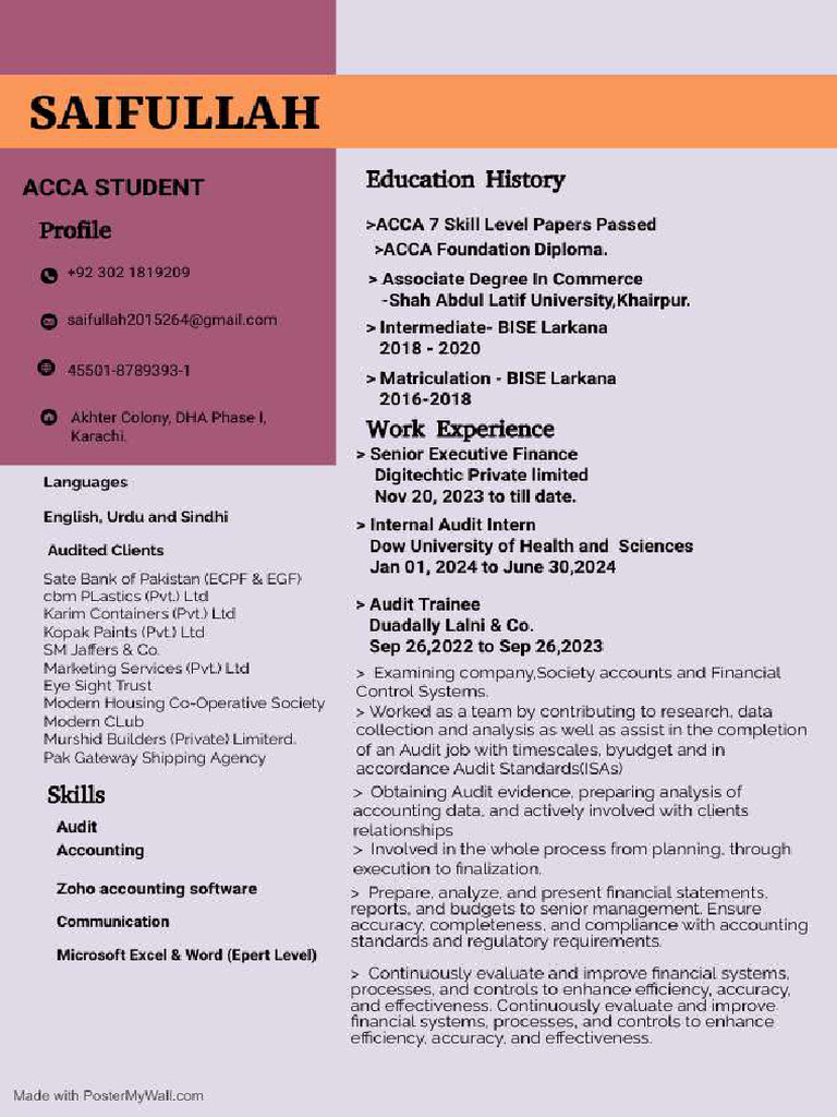 Saif Resume-30th June 2024 | PDF