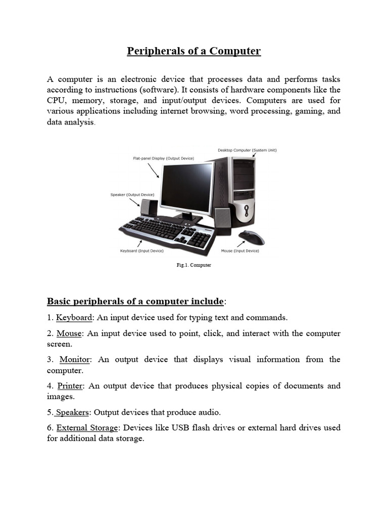 Peripherals of A Computer | PDF | Read Only Memory | Random Access Memory