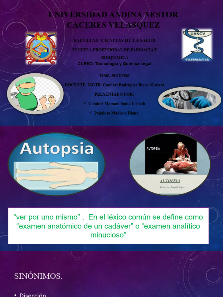 Autopcia | PDF