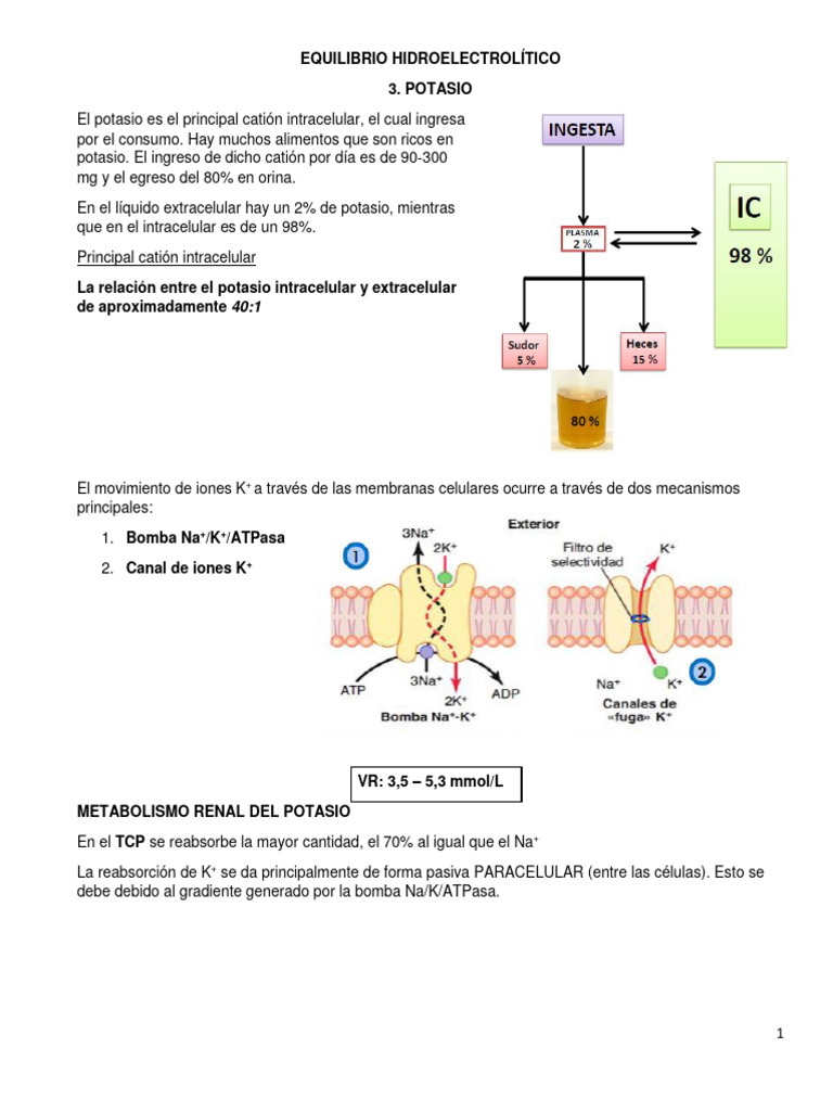 3.2 - Equilibrio Hidroelectrolítico- Potasio | PDF | Potasio | Química