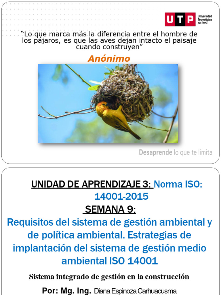 Sig9 1 | PDF | Entorno natural | Auditoría