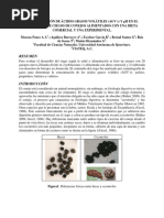 Análisis Clínico del Líquido Ruminal | PDF | Rumiante | Química