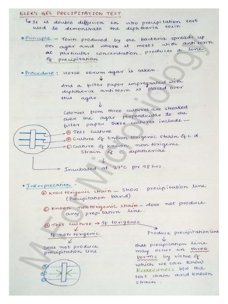 Elek's Gel Precipitation Test | PDF