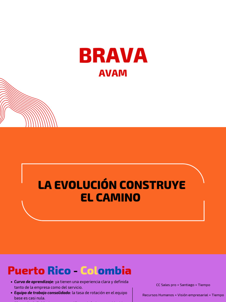 Brava | PDF | Marketing | Mercado (economía)