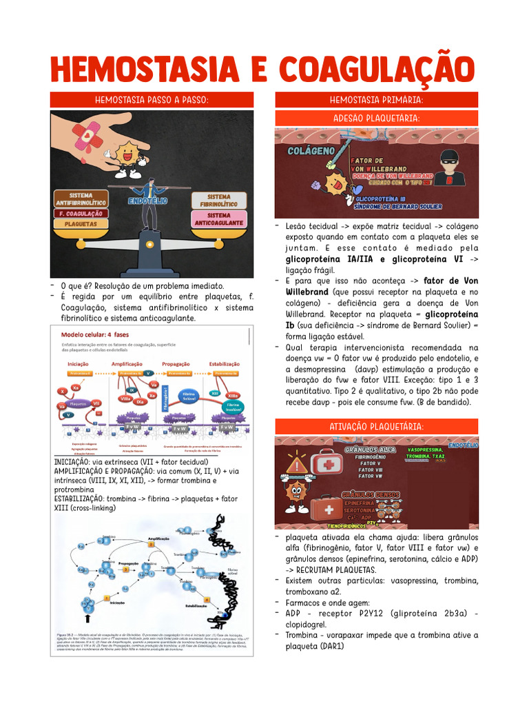 Hemostasia e coagulação resumo | PDF | Coagulação | Hemostasia