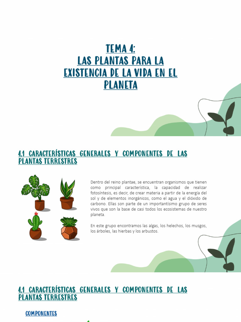 Las Plantas para La Existencia de La Vida en El Planeta | PDF | Plantas ...